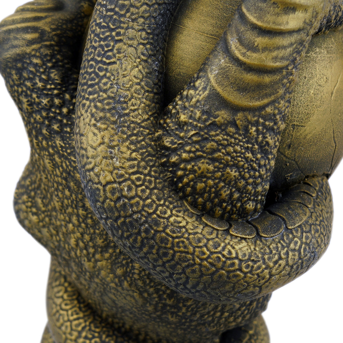 Doomsday Society • DOOMSDAY SOCIETY